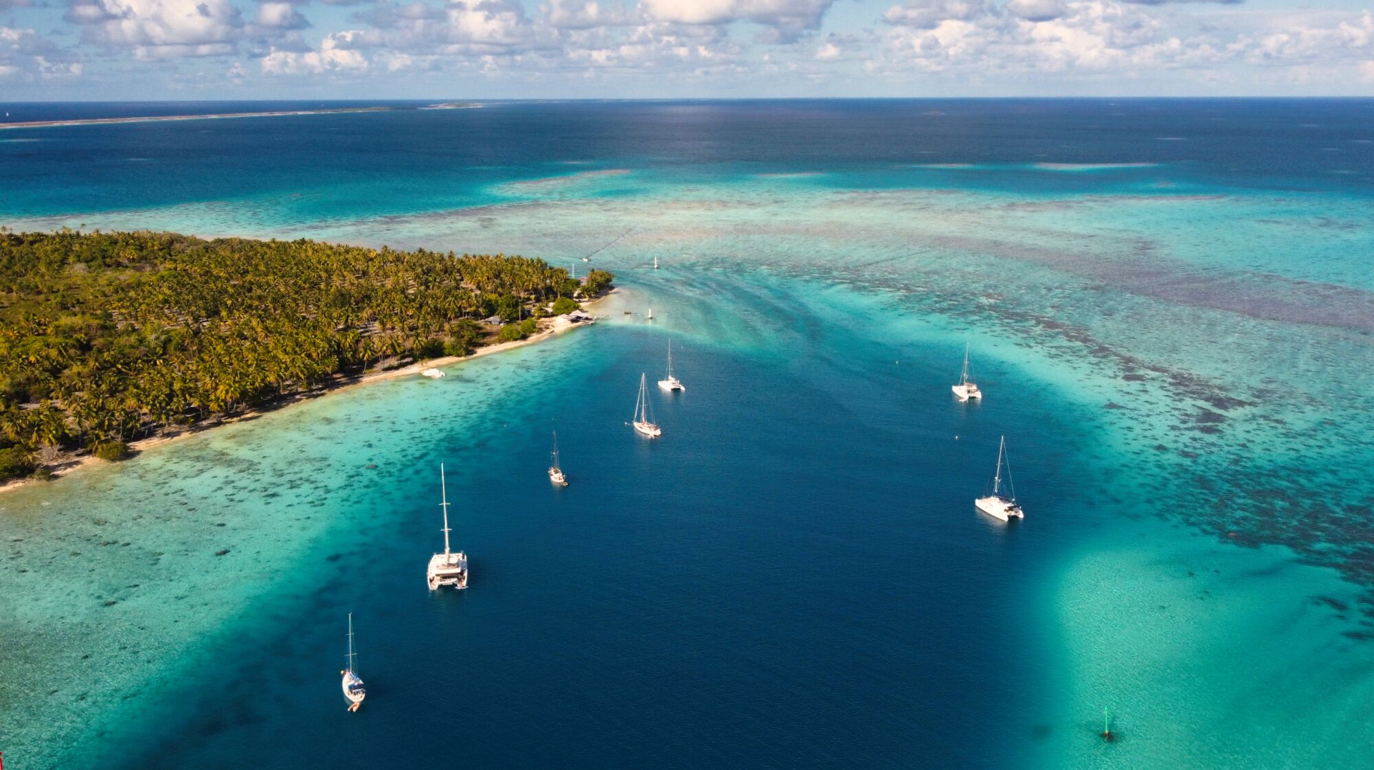 113. Toau | Amanda Hi-Sea
