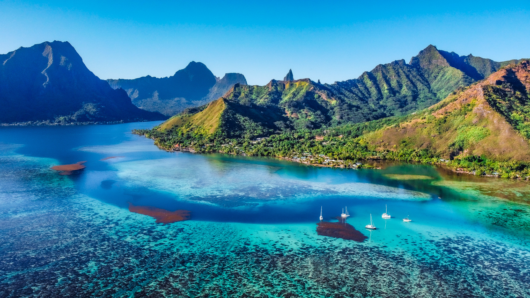 116. Moorea | Amanda Hi-Sea